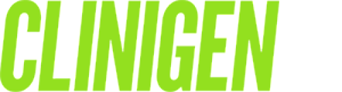 Translation and Localization Services | Wolfestone Group USA